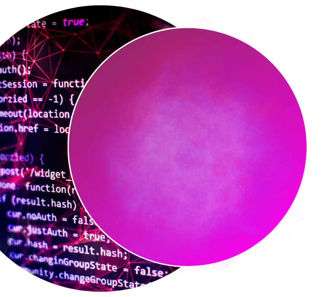 Functional Testing Services And Solutions By Melonleaf
